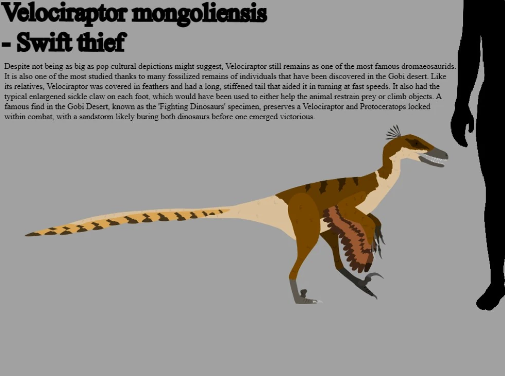 Velociraptor art | Fandom