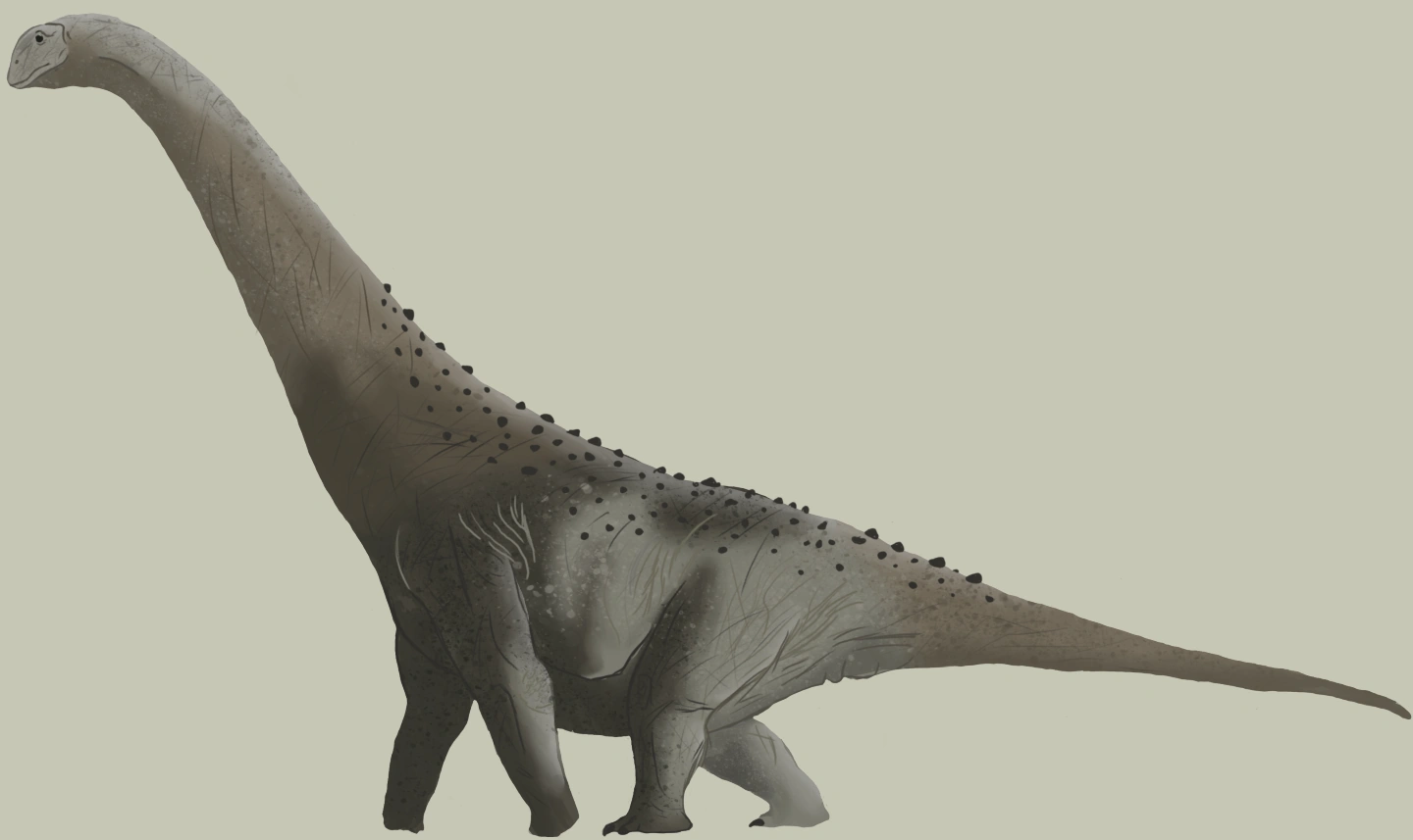 I made a sauropod with prehistoric planet inspiration | Fandom