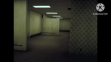 Backrooms level 0.455 | Fandom