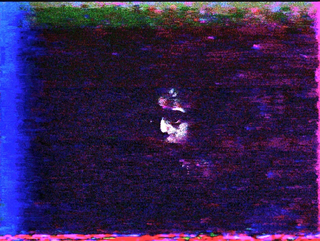 Have a visible picture of Samuel Lee! | Fandom