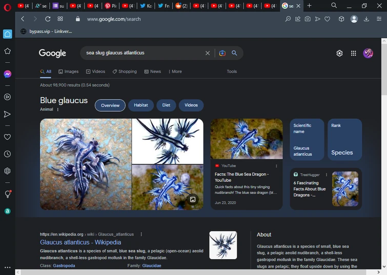 sea slug yaho (yes) | Fandom