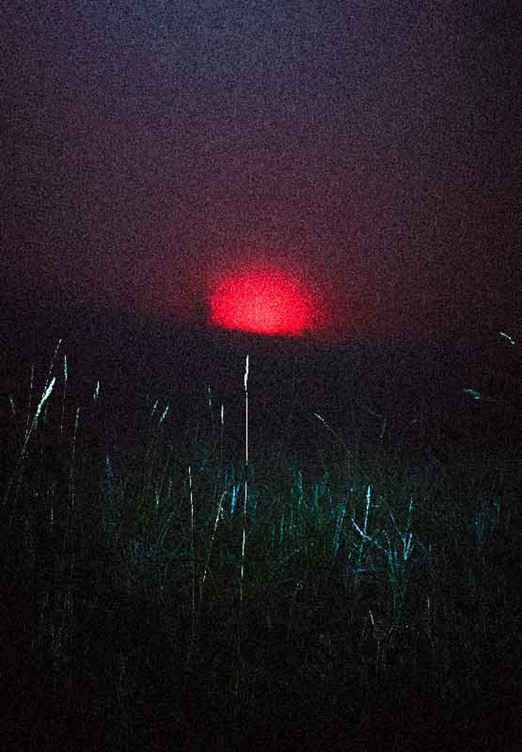 What's wrong with the mountain king ritual? | Fandom