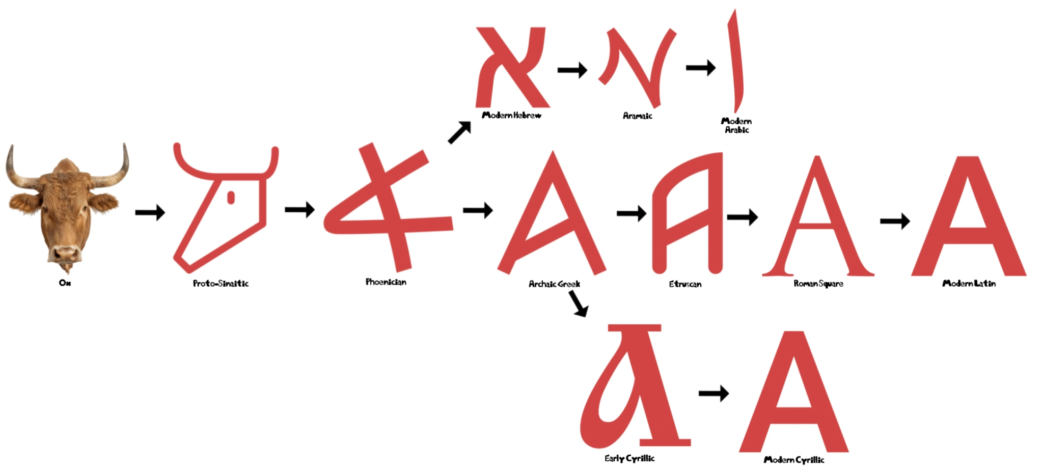 (Partially REUPLOAD) History of Alphabet and Number by Lidni56/Libni ...