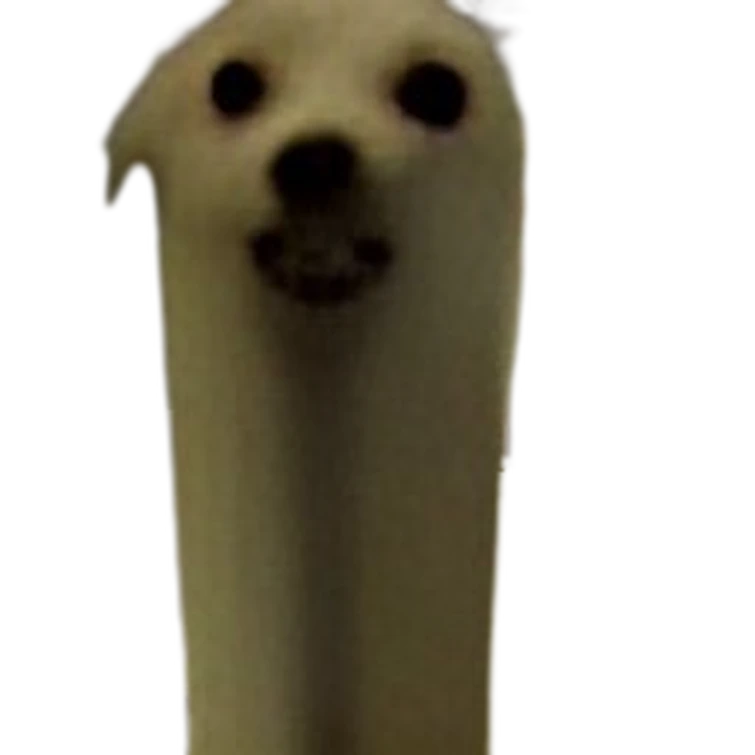 look at my dog | Fandom