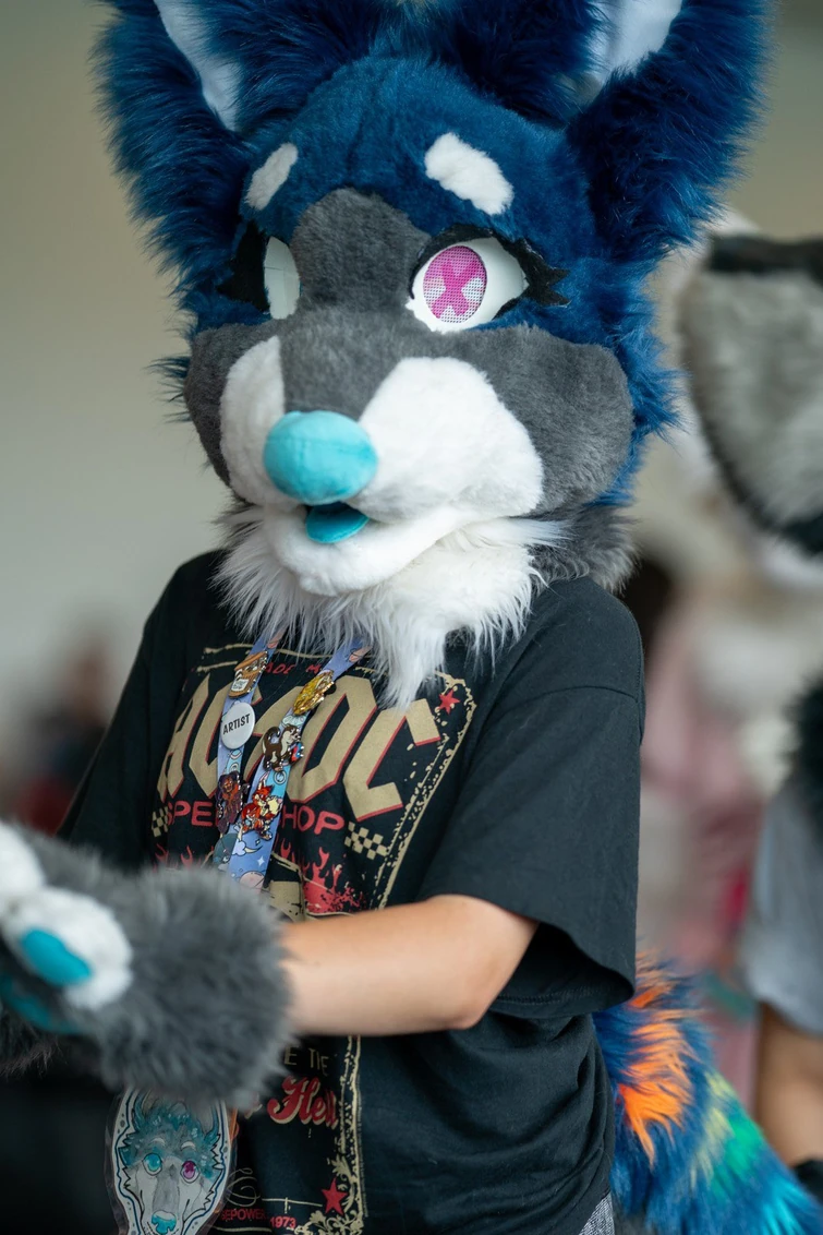 Anthrocon photos | Fandom