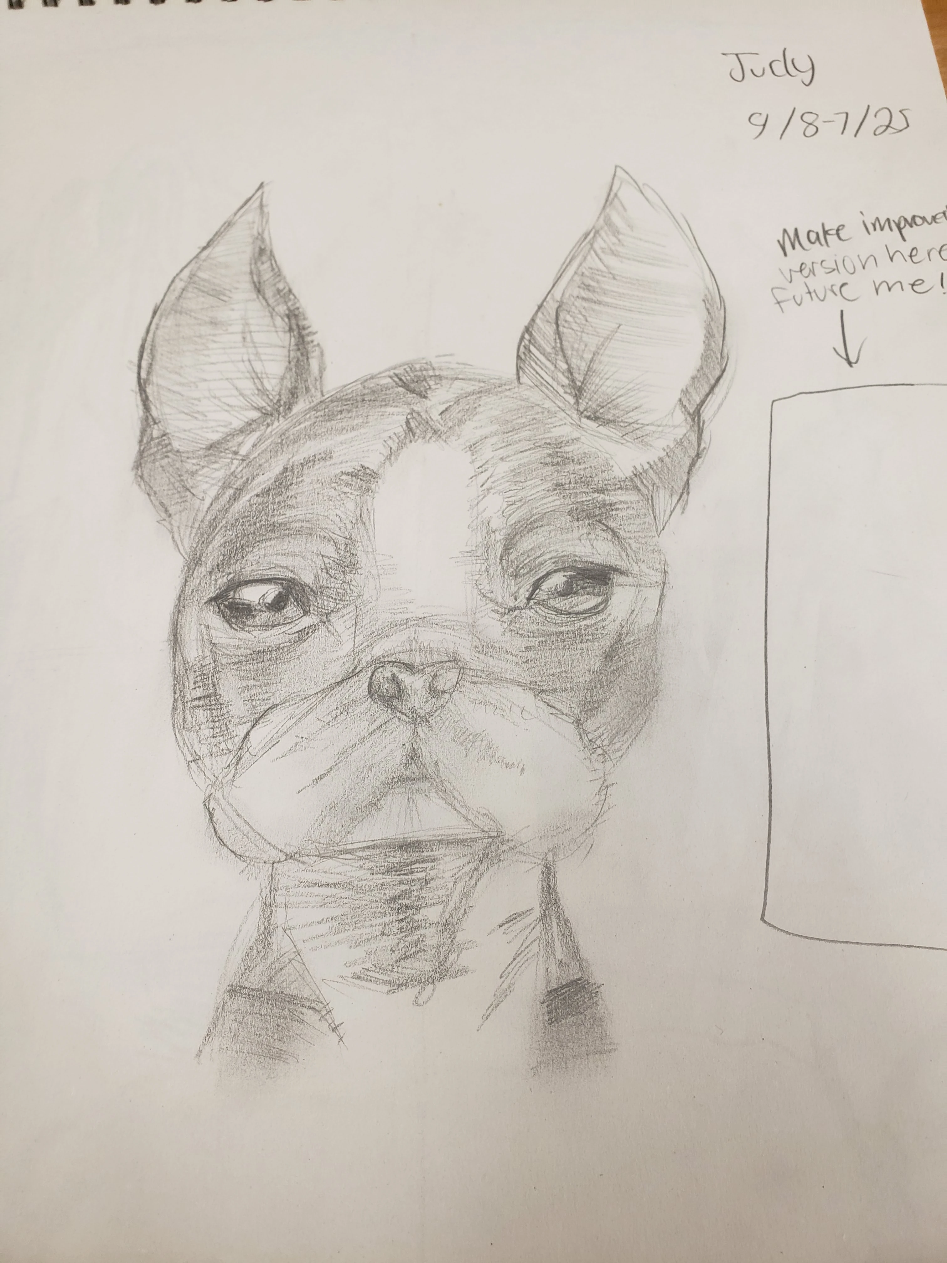 type shit I draw during class | Fandom