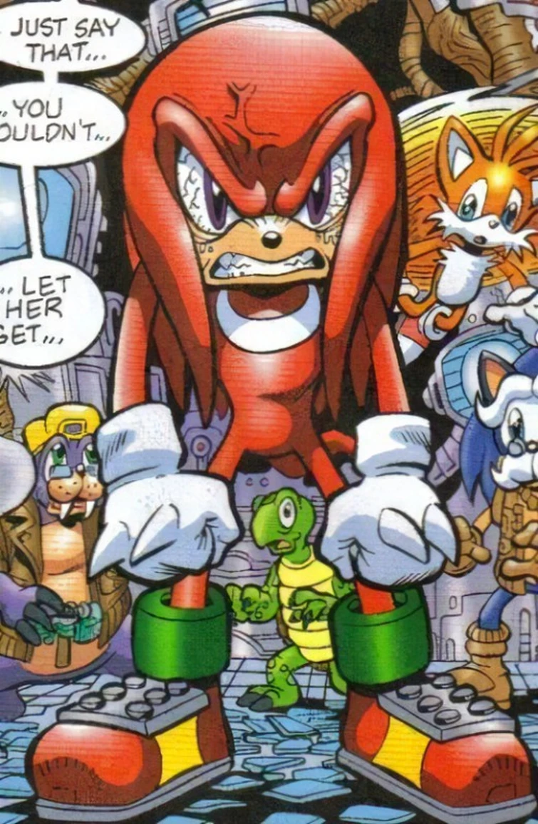 Why Is Knuckles About To Lose His Sanity? (Wrong Answers Only.) | Fandom