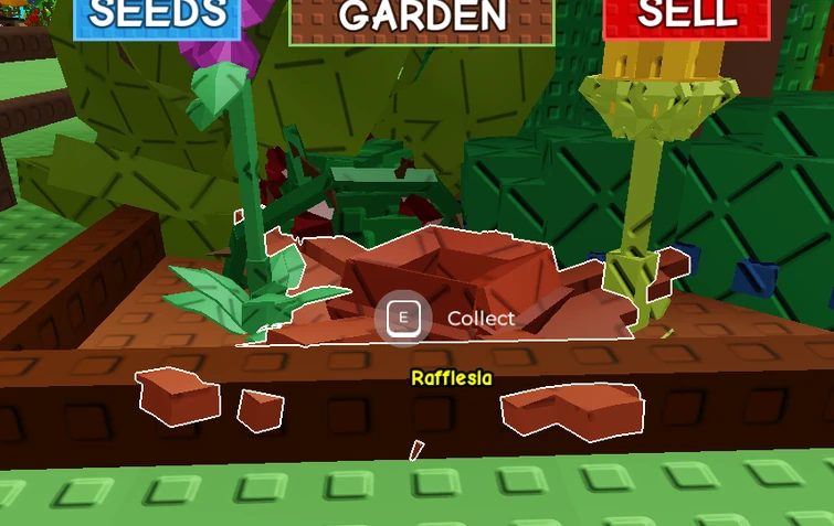 Information about rafflesia | Fandom