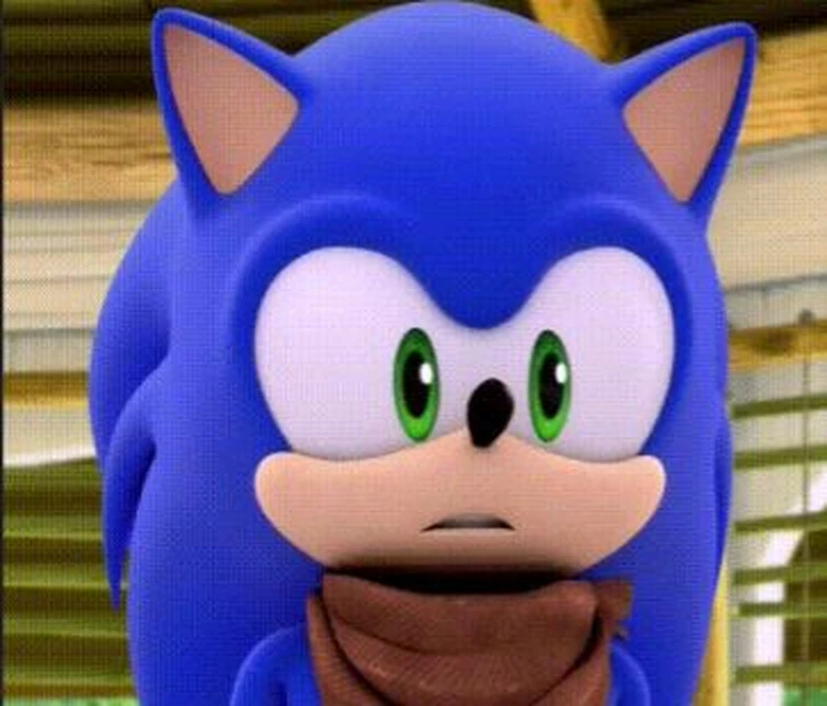 Describe a sonic character in the most wrong way possible | Fandom