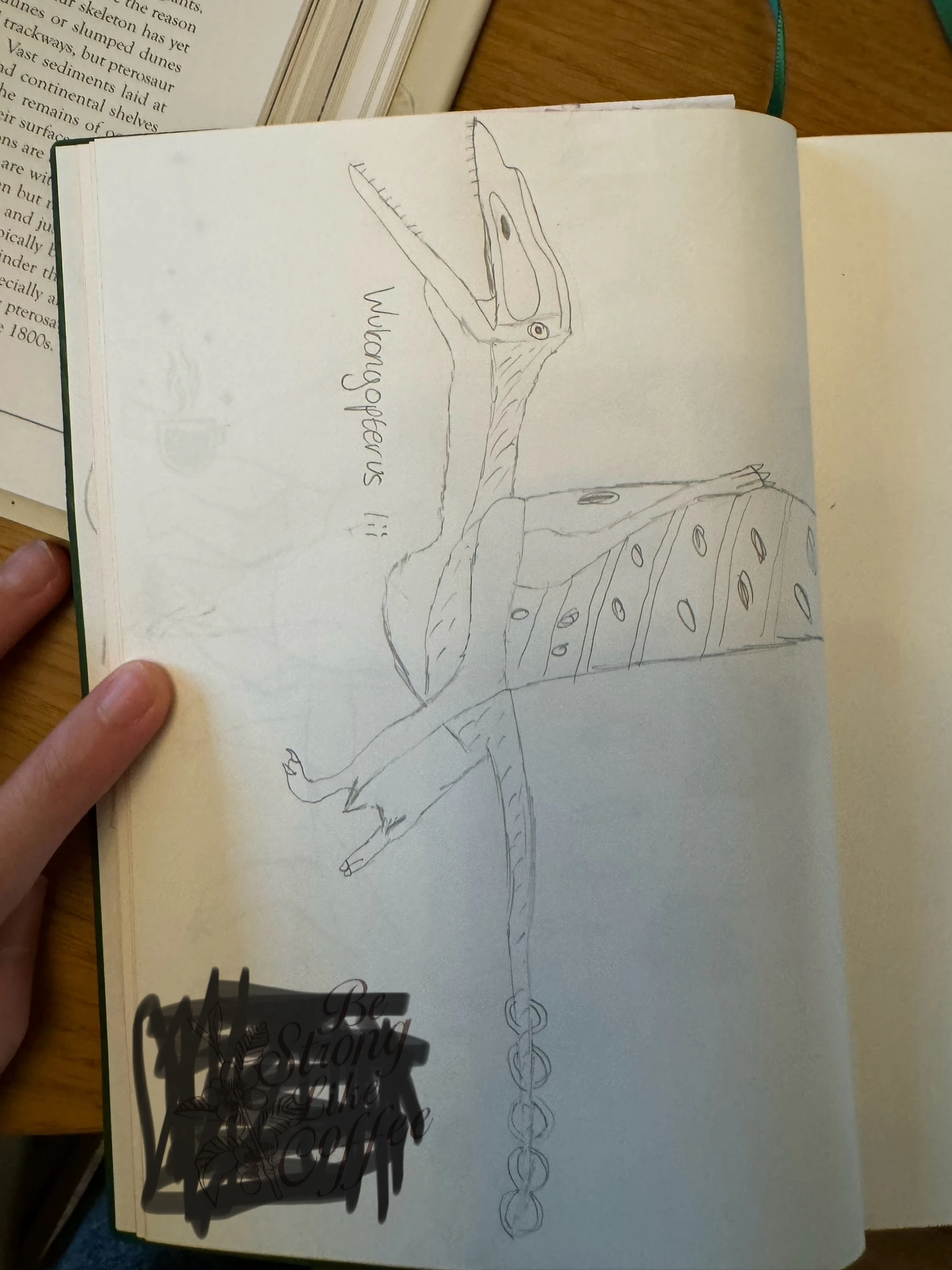 Meet Wukongopterus | Fandom