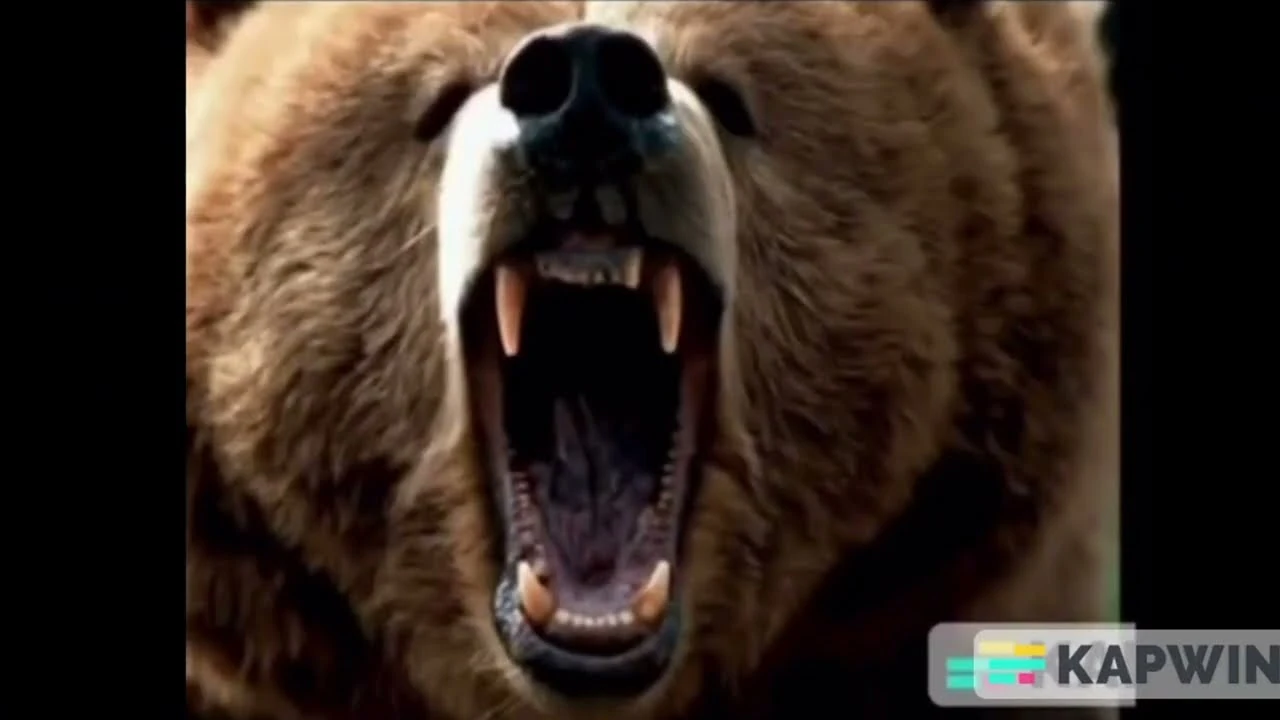 Add those phases to the wiki. | Fandom