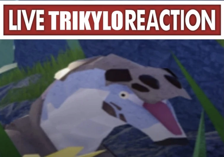 my live reaction when i see someone complain about kosers in recode ...