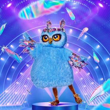 Discuss Everything About The Masked Singer Wiki | Fandom