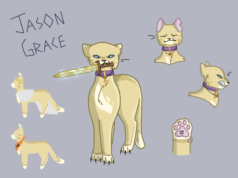 Catified Jason design | Fandom