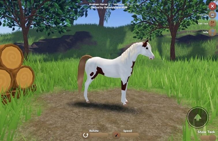 Swapping mm arab! | Fandom