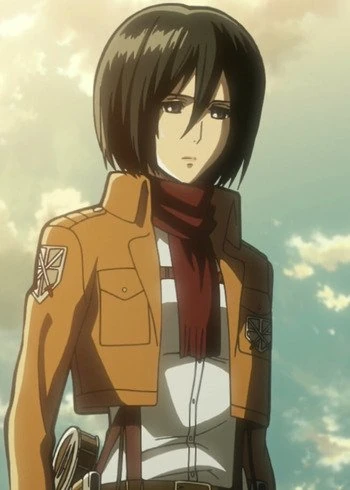 (Time-Skip) The Mikasa Ackerman | Fandom