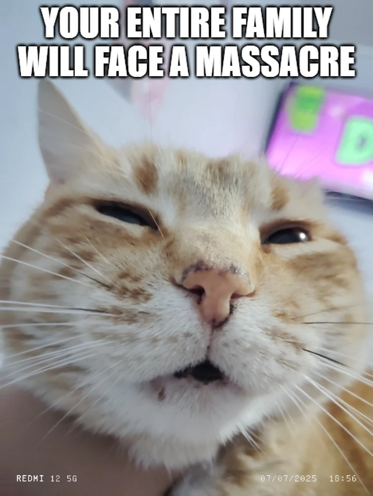 NOLI TOMORROW | Fandom