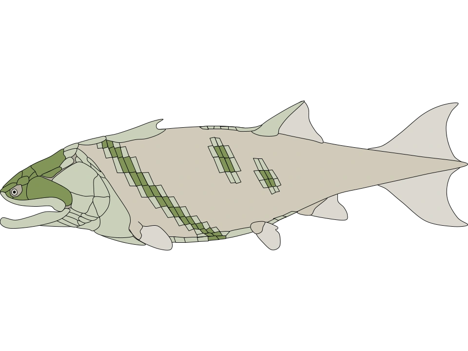 Guiyu Oneiros (Silurian Fish) | Fandom