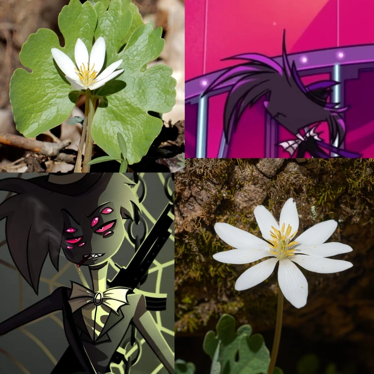 I asked ChatGPT to find Hazbin Hotel Character’s flower counterparts ...