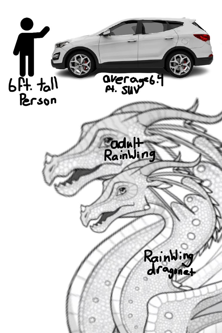 How large are dragons compared to humans? | Fandom