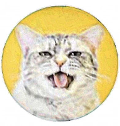 I have a perfect rendition of a TT sticker | Fandom