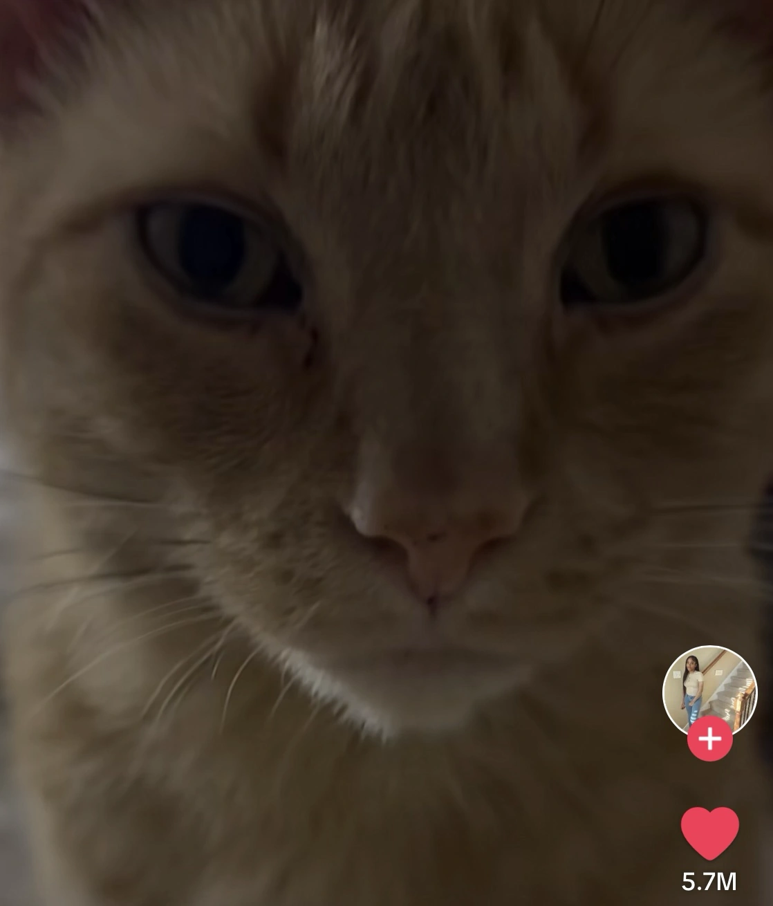 me when revenge killers happen | Fandom