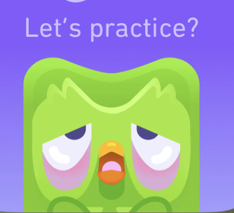 Do you have Duolingo? | Fandom