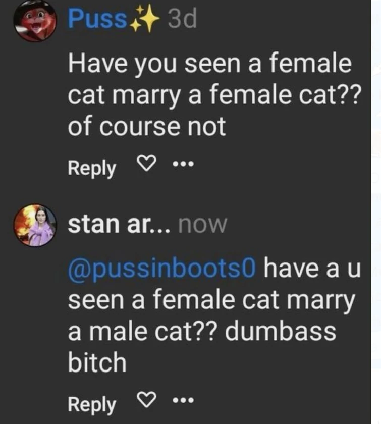 public execution | Fandom