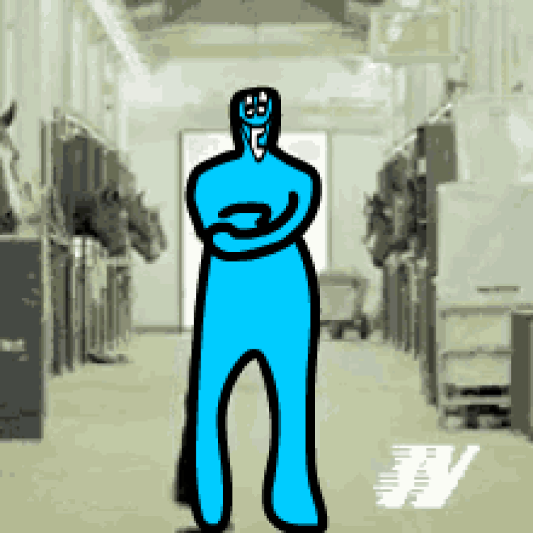 BRO DAMN GOD ZVARDIN | Fandom