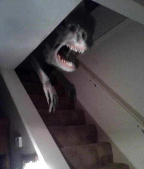 Entity 1.7 (dread) | Fandom