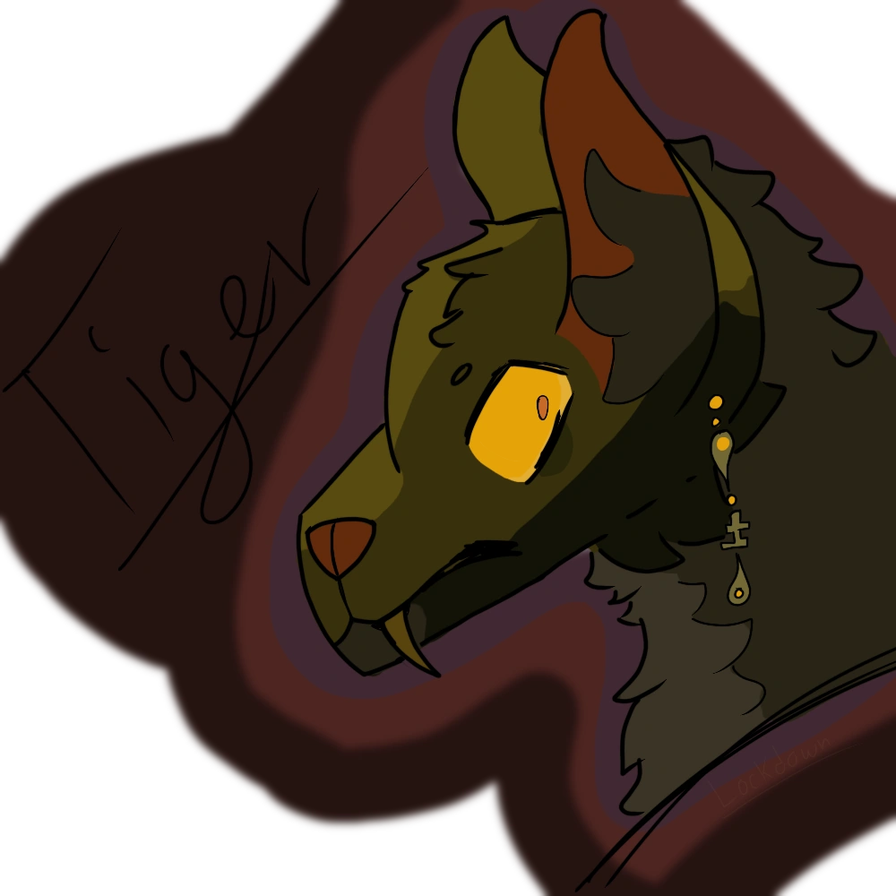 Good night wiki! | Fandom