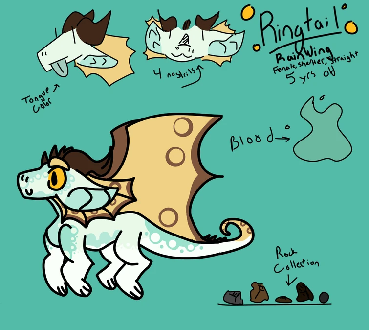 ringtail ref | Fandom