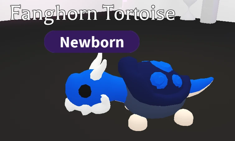 any fanghorn tortoise owners? | Fandom