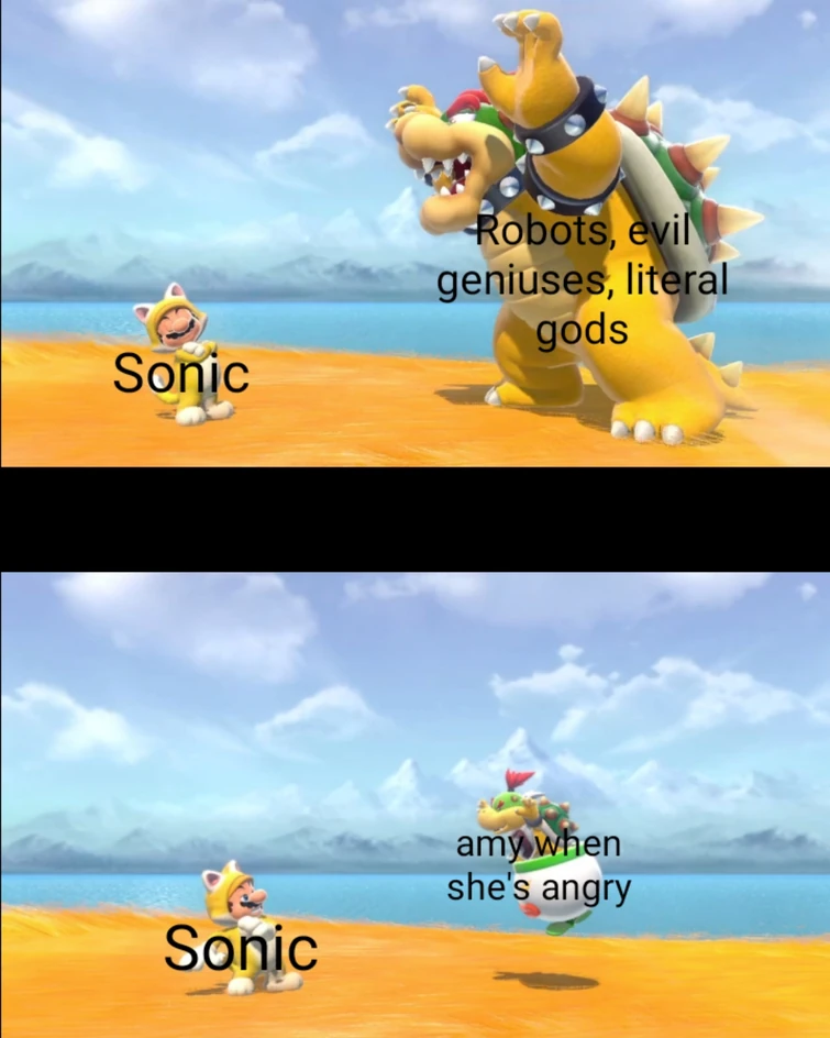 A meme I made with a meme template I made at the Mario Wiki. | Fandom