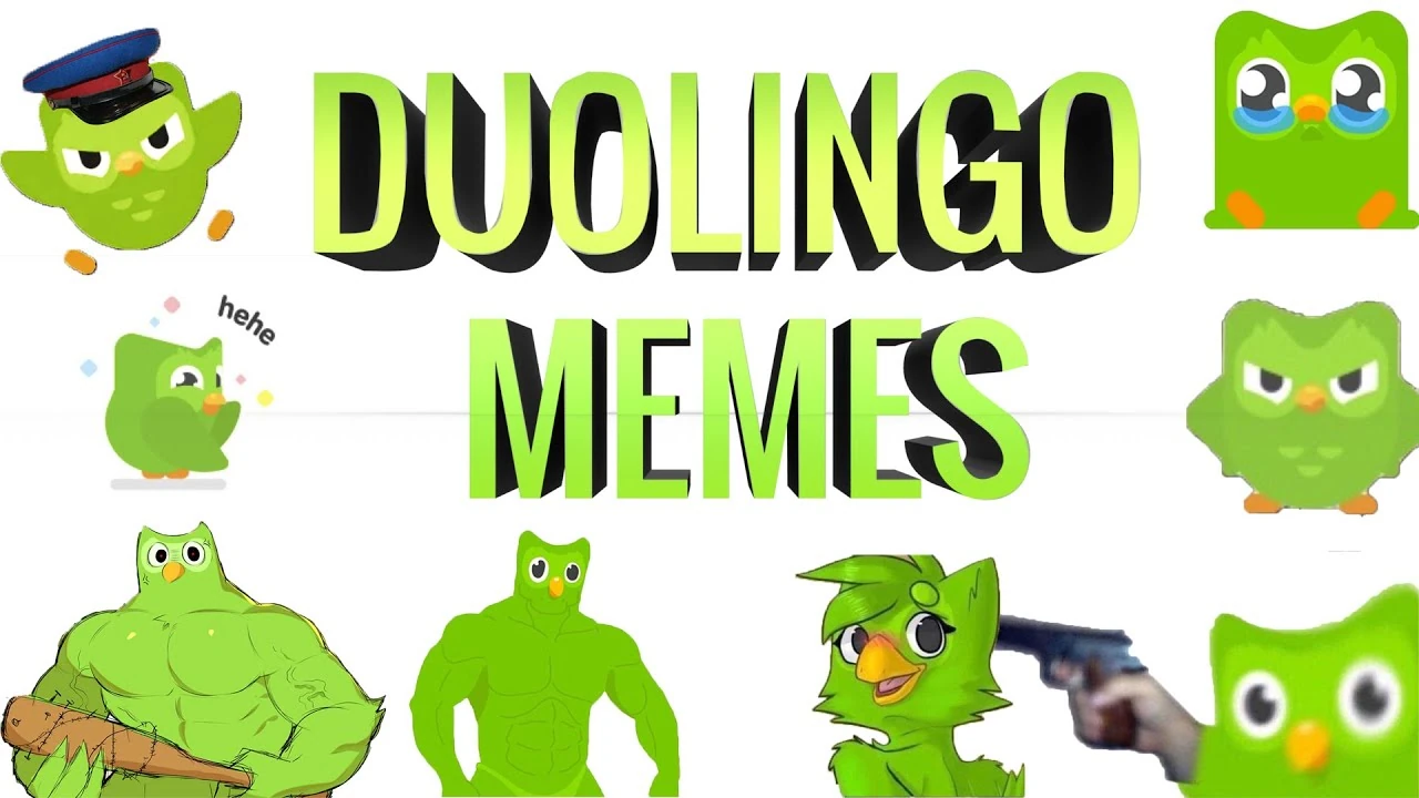Duolingo memes | Fandom
