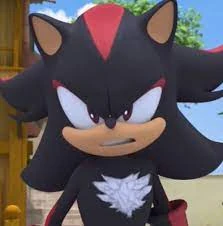 Why is Shadow Angry? (Wrong Answers Only) | Fandom