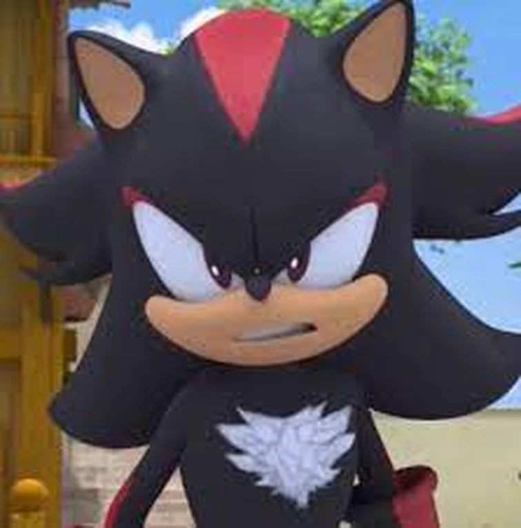 Why is Shadow Angry? (Wrong Answers Only) | Fandom