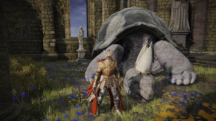 TURTLE POPE :D | Fandom