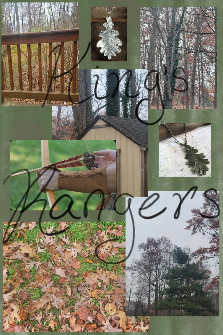 Ranger Collage! | Fandom