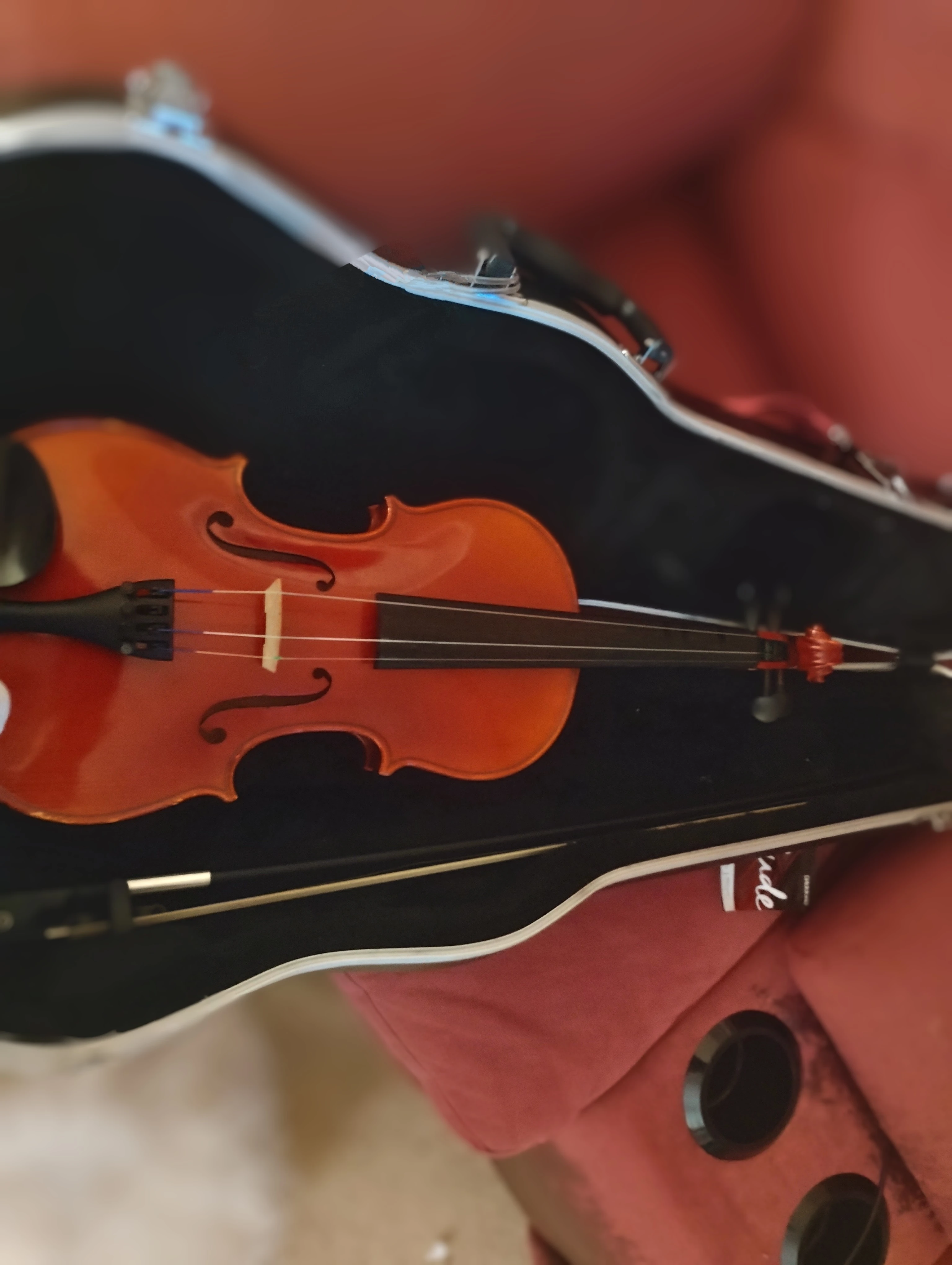 Guess the odd string on my violin (Hard) | Fandom