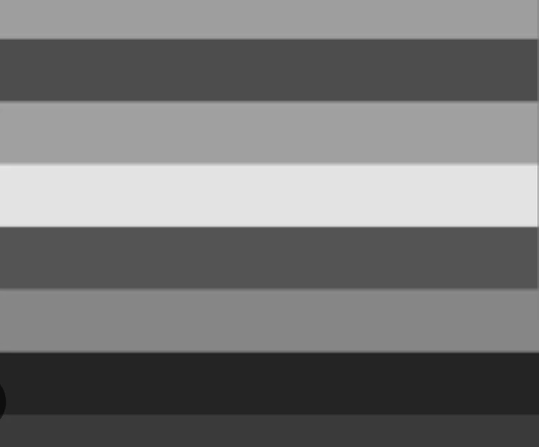 Guys it's the straight flag lol | Fandom