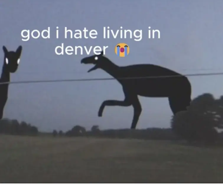 Please give me a fitting image to put this creature I drew | Fandom