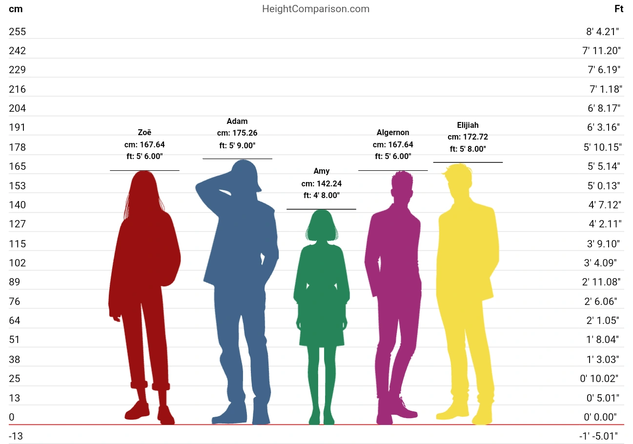 Five Main OCs In A Height Chart | Fandom