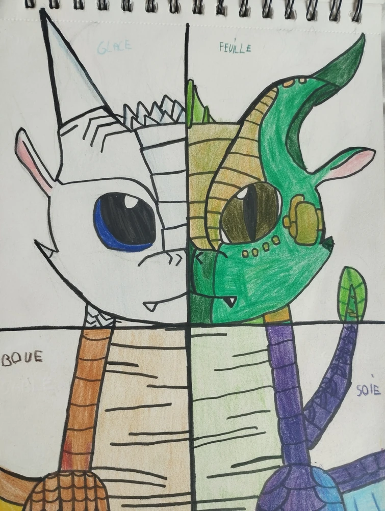 Évolution dessin | Fandom