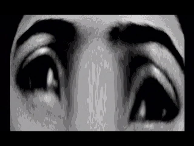 i tried remaking lomando with capcut using my face | Fandom