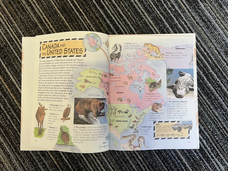 Discuss Everything About NatureRules1 Wiki | Fandom