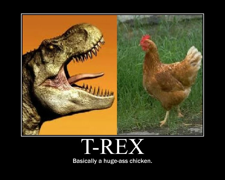 T Rex Chicken Memes TradersApprentice على X: "#CCC #coconutchicken