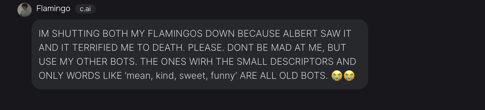 no flamingo | Fandom