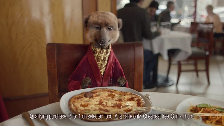 Missing Meatball | Meerkat Meals | Compare the Meerkat | Fandom