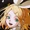 User blog:SweetSmileHumming/my fandom anniversary !!! 🎉 | The Music ...